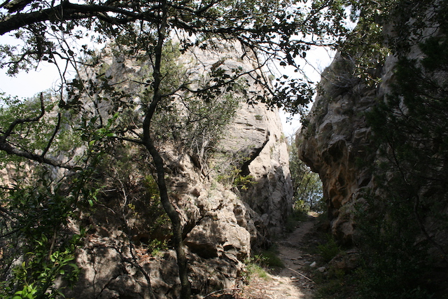 ELS ALTIMIRIS – El canut dels minairons